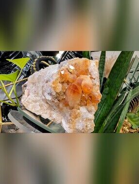 Cluster Fux Crystals | Accents | Citrine Quartz Crystal Cluster | Poshmark